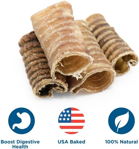 BEST BULLY STICKS Beef Trachea Dog Treats, 50 count - Chewy.com