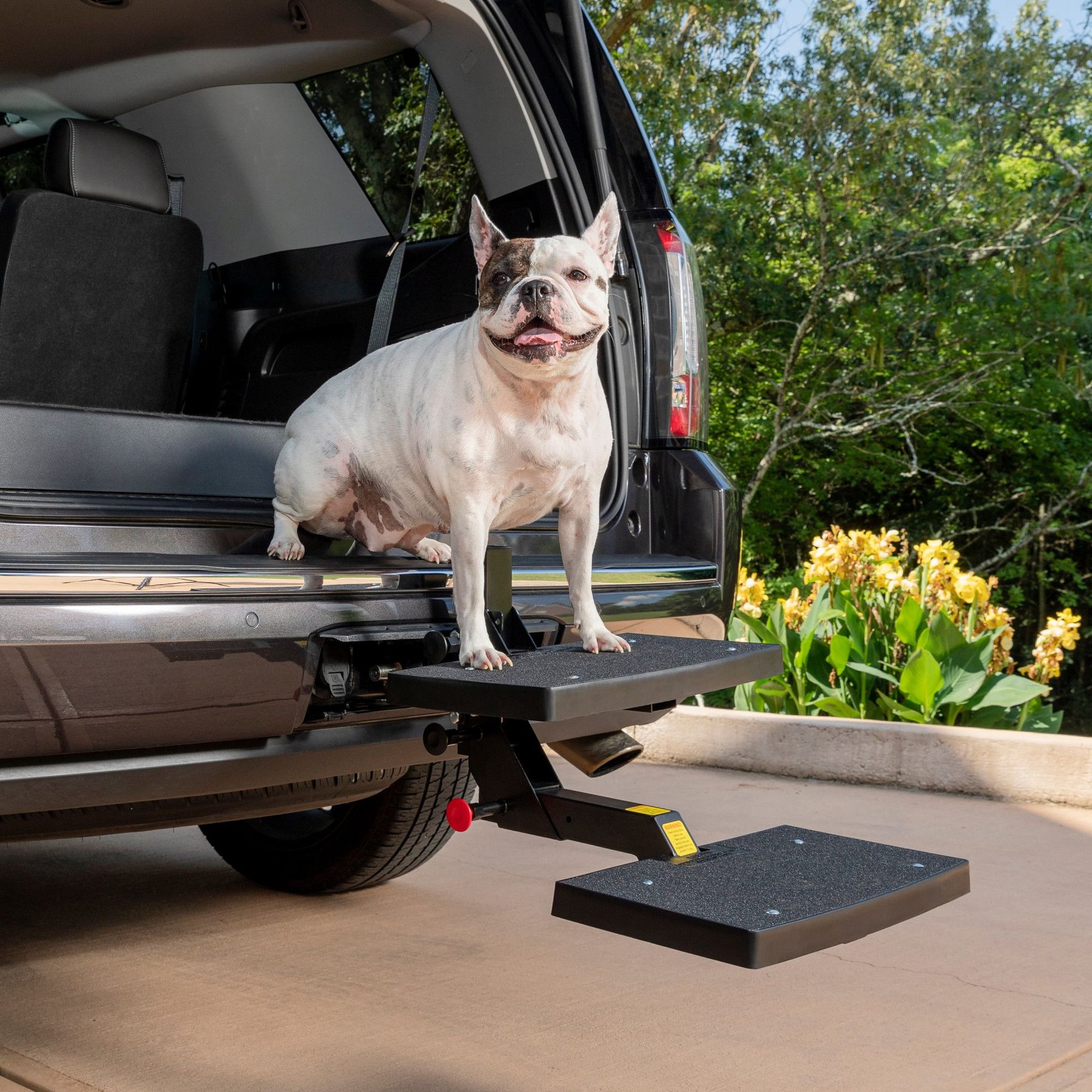 PETSAFE Happy Ride Dog Car Hitch Step - Chewy.com