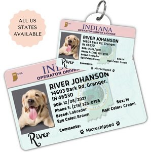 TWO TAILS PET COMPANY Main Squeeze Personalized Dog & Cat ID Tag ...