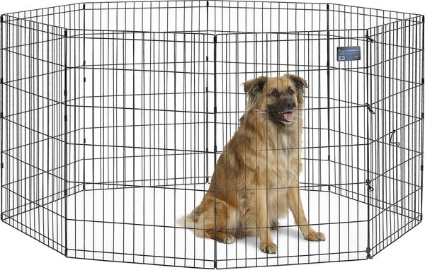 MIDWEST Wire Foldable Dog & Cat Exercise Pen, Black, Intermediate: 36 ...