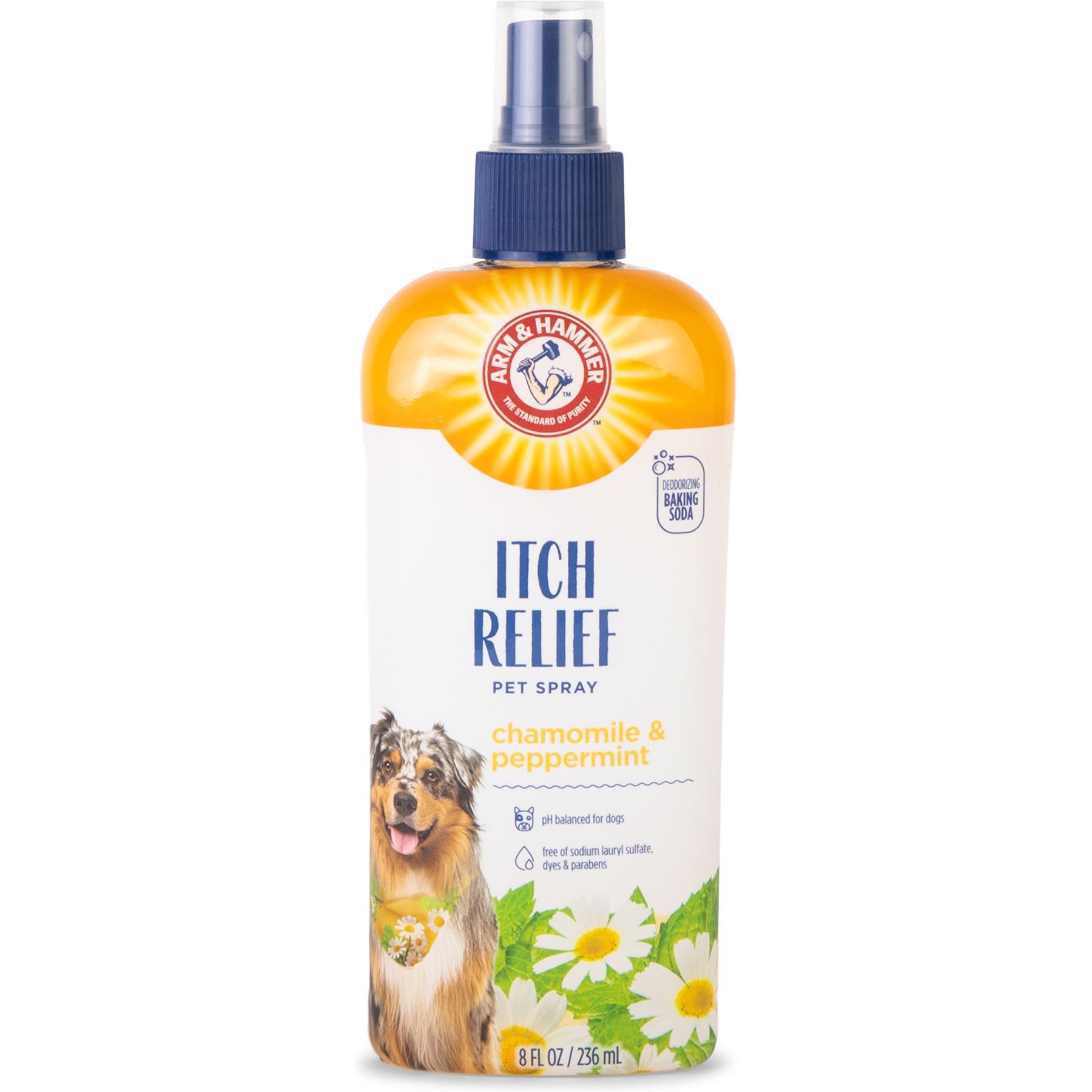 ARM & HAMMER Itch Relief Dog Spray, 8-fl oz bottle - Chewy.com