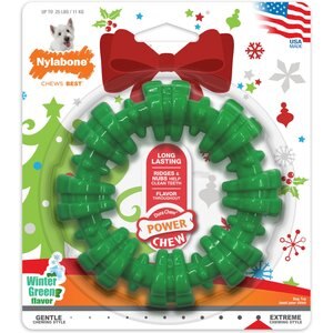 NYLABONE Power Chew Textured Dog Chew Ring Toy Flavor Medley, Small ...