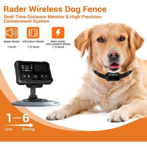 10 Best Wireless Dog Fences 2024: According to Reviews | Chewy