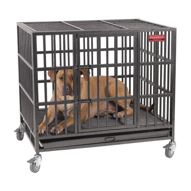 PROSELECT Empire Single Door Steel Dog Crate, 33.75-in - Chewy.com