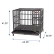 PROSELECT Empire Single Door Steel Dog Crate, 41.25-in - Chewy.com