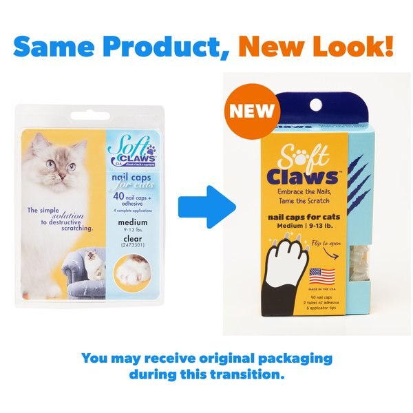 SOFT CLAWS Cat Nail Caps, 40 count, Medium, Clear - Chewy.com