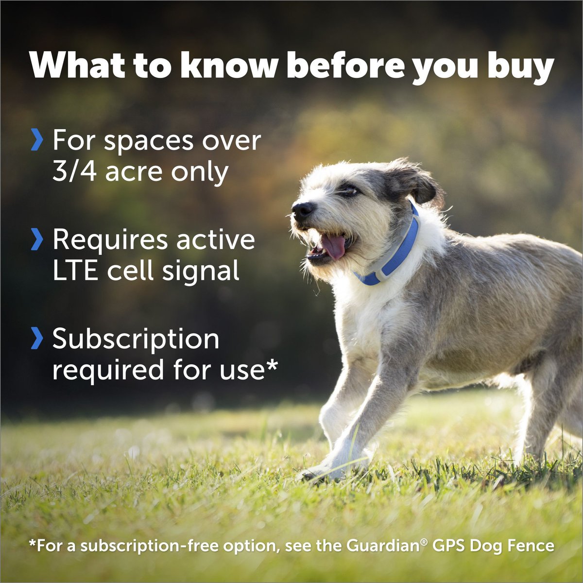 PETSAFE Guardian GPS + Tracking Wireless Fence Dog Collar, Grey/Blue ...