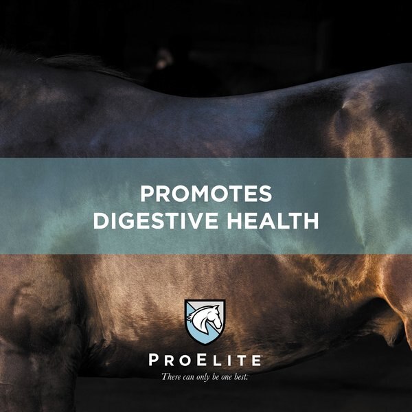 PROELITE Topline Advantage Pellets Horse Supplement, 25-lb bag - Chewy.com