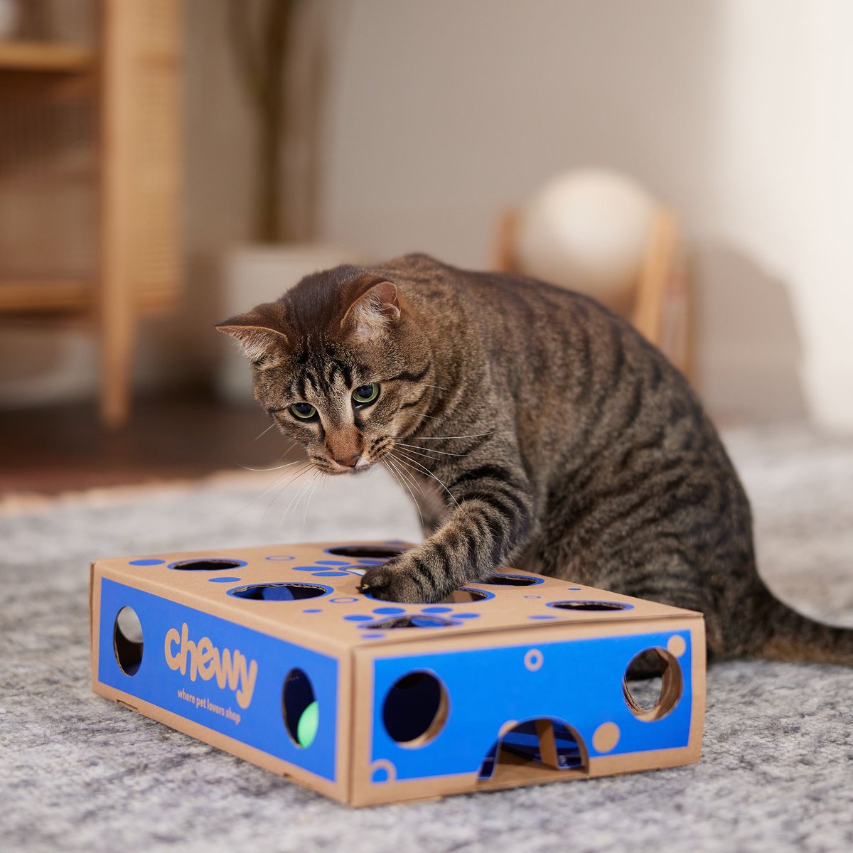 Out of Stock - FRISCO Chewy Box Cardboard Interactive Maze Cat Toy with ...