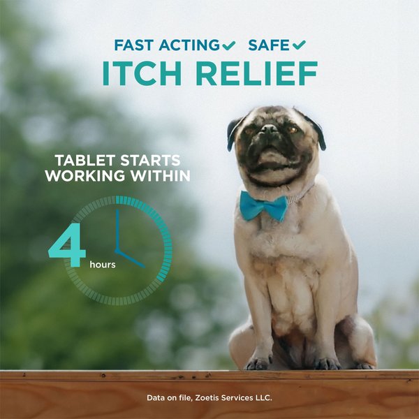 APOQUEL (oclacitinib) Tablets for Dogs, 16-mg, 90 Tablets - Easy ...