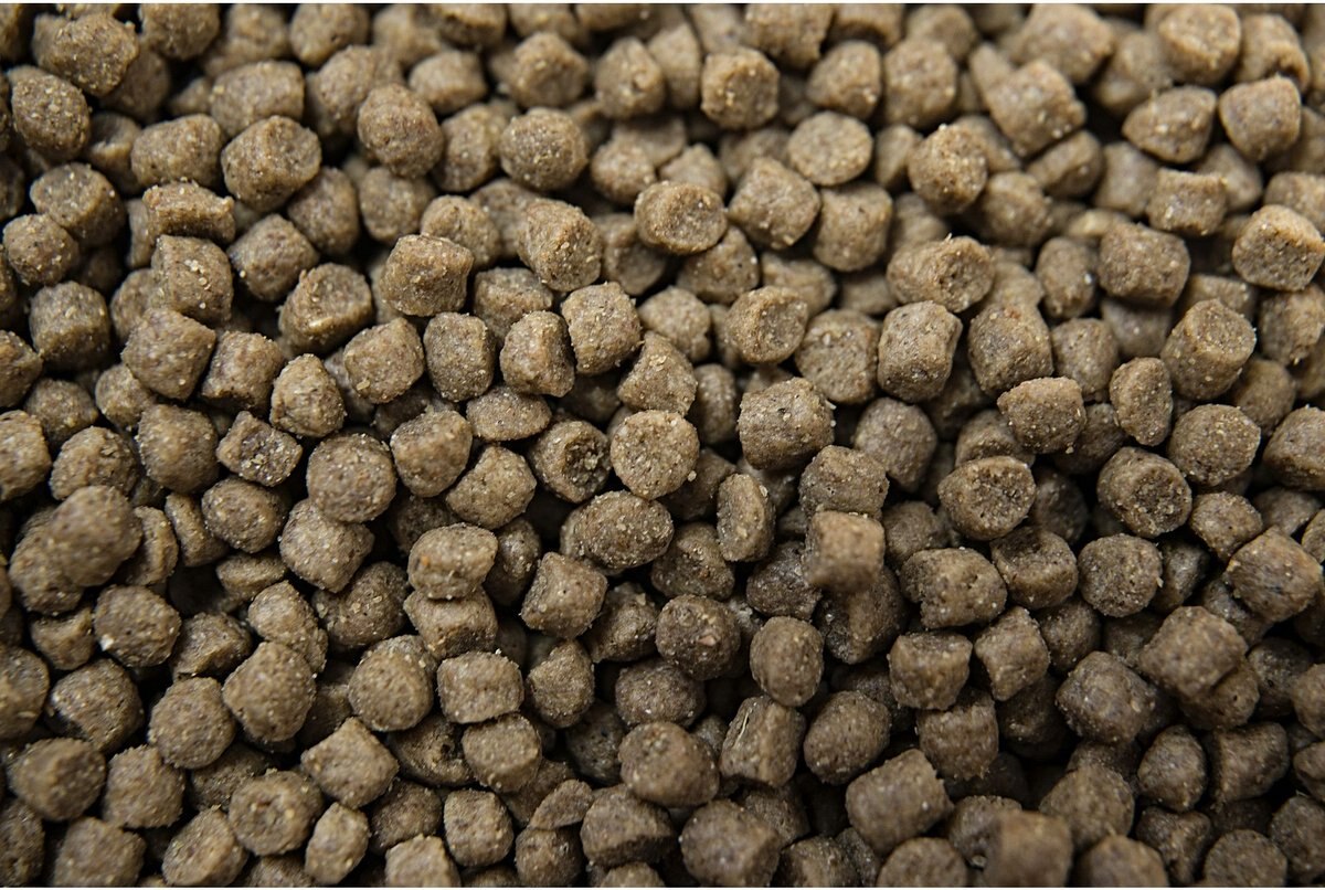 BUCKEYE NUTRITION Ultimate Finish 25 High-Fat Weight Gain Pellets Horse ...