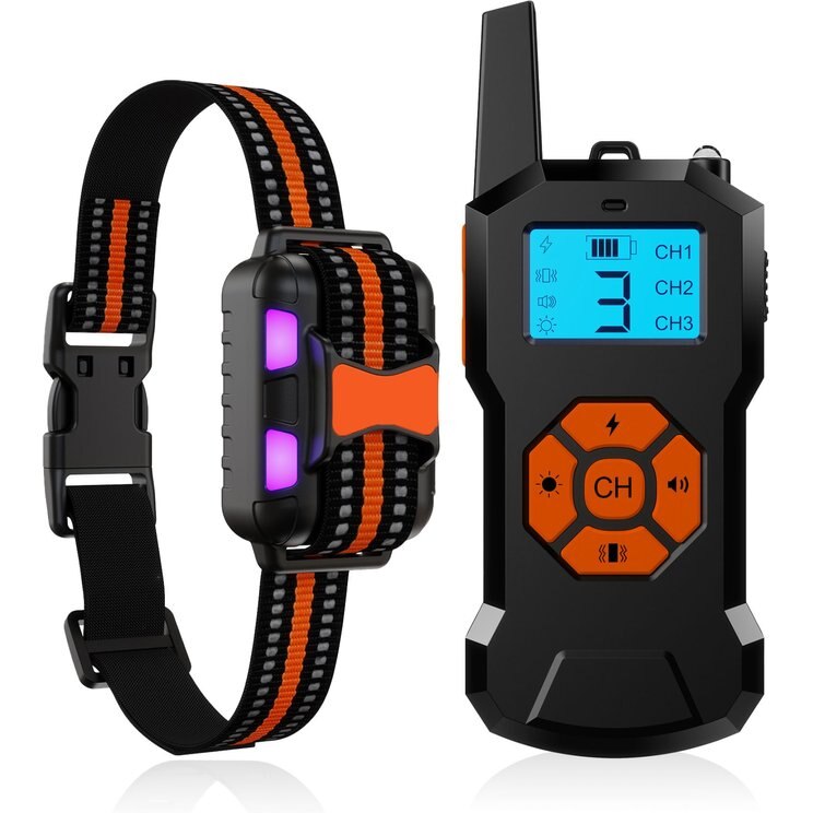 Dog Training & Tech Collars - Free shipping | Chewy