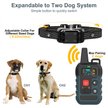 PETDIARY T510 Waterproof Deterrent Spray Rechargable Remote Dog ...