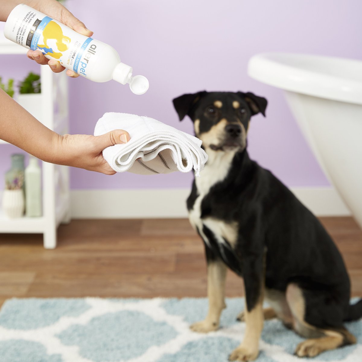 ALLERPET Pet Dander Remover, 12-fl oz bottle - Chewy.com