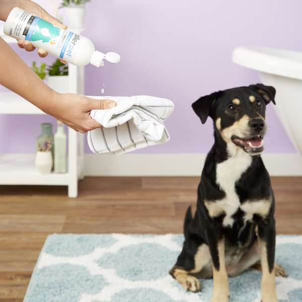 ALLERPET Dog Dander Remover, 12-fl oz bottle - Chewy.com