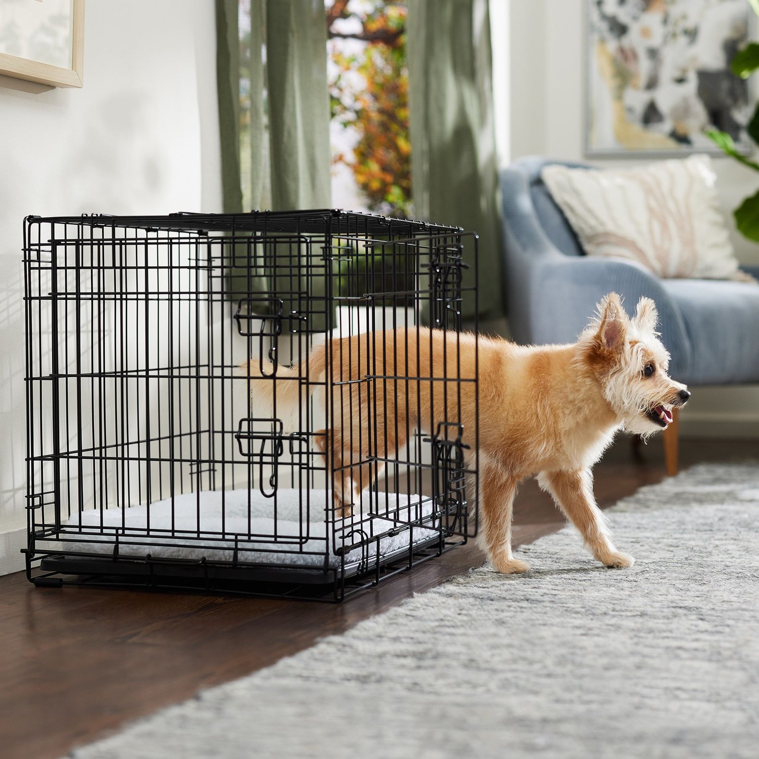 FRISCO Heavy Duty Fold & Carry Double Door Collapsible Wire Dog Crate ...