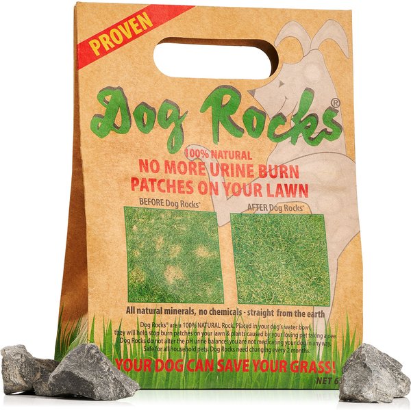DOG ROCKS Grass & Lawn Saver Dog Urine Burn Patch Protection, 6 months ...