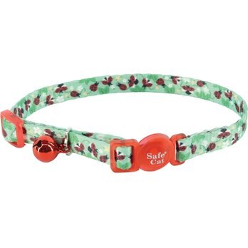Cat Collars: Small to Large Cats (Free Shipping) | Chewy
