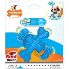 PLASTIC DOG CHEW TOYS (Free Shipping) | Chewy