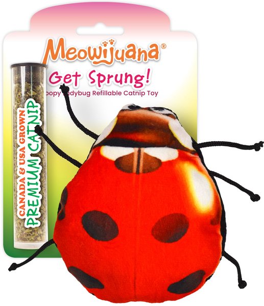 MEOWIJUANA Refillable Get Sprung Ladybug Cat Plush Toy with Catnip ...