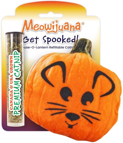 MEOWIJUANA Refillable Get Spooked Pumpkin Cat Plush Toy with Catnip ...