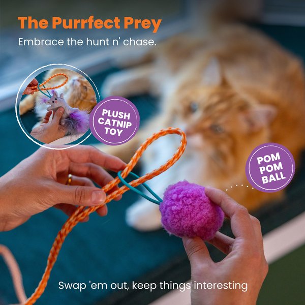CATSTAGES Cat-apult Durable & Interactive Teasers-Wands Cat Toy with ...