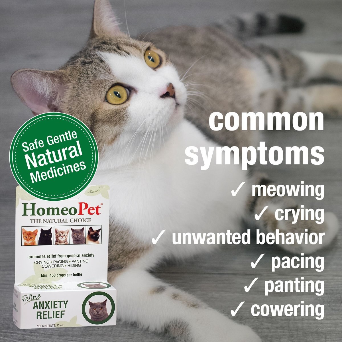 HOMEOPET Feline Anxiety Relief Cat Supplement, 450 drops - Chewy.com