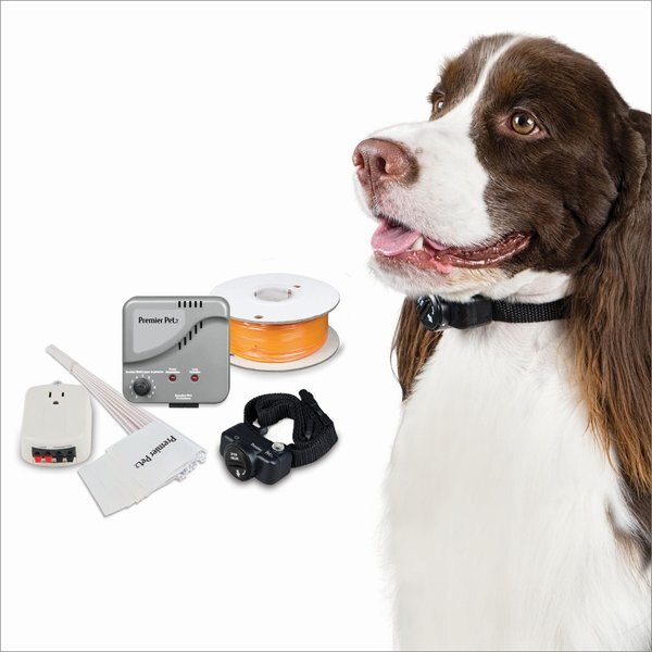 PETSAFE Basic In-Ground Fence System - Chewy.com