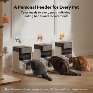 10 Best Automatic Dog Feeders & Treat Dispensers 2024: According to Reviews | Chewy