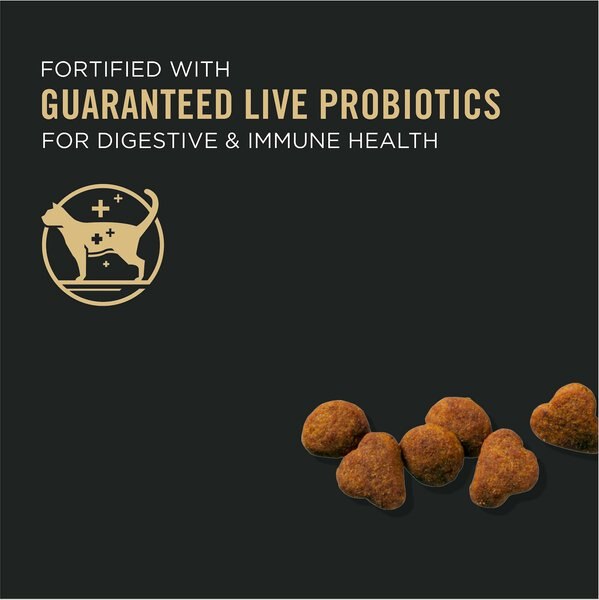 PURINA PRO PLAN Prime Plus Adult 7+ Chicken & Rice Formula Dry Cat Food ...