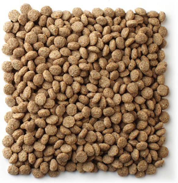 MAZURI Waterfowl Maintenance Pellet Dry Food Duck & Geese Feed, 25-lb ...