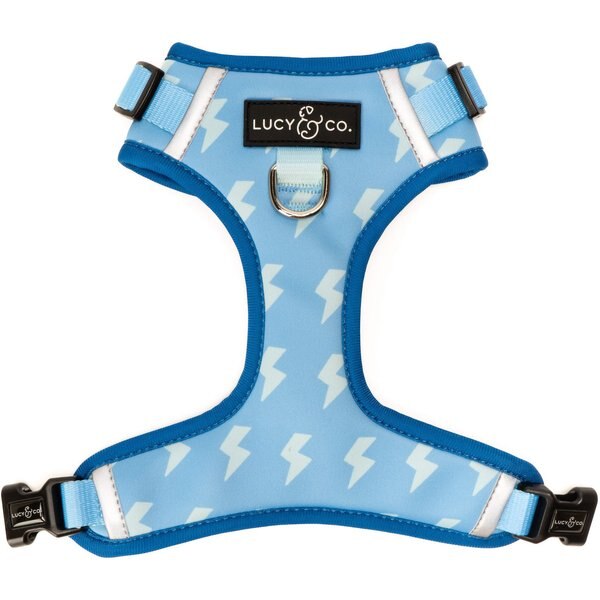 WILDHOUND C4 No-Pull Premium Dog Harness, Navy Blue, Large - Chewy.com