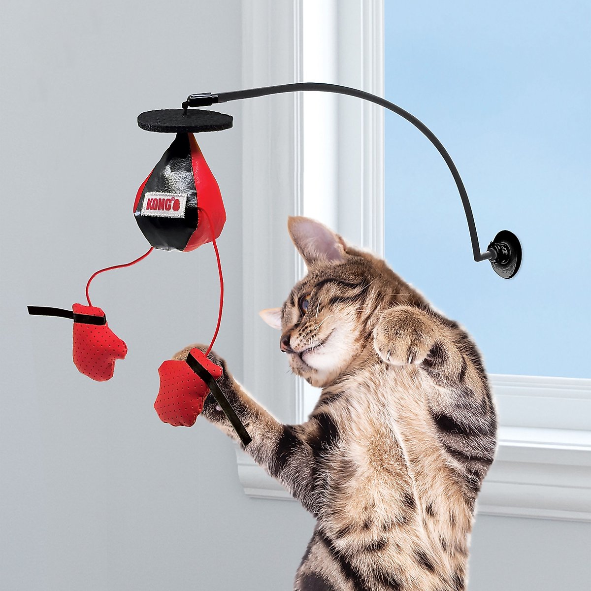 KONG Connects Window Boxing Cat Teasers Wands Toy with Catnip, Red ...