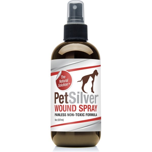 PETSILVER Wound & Skin Spray for Dogs & Cats, 8-fl oz bottle - Chewy.com