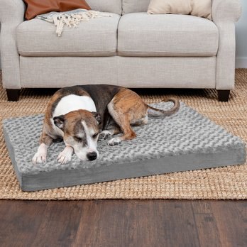 Large Dog Beds (Free Shipping) | Chewy