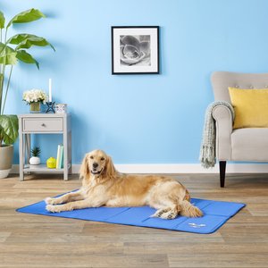 10 Best Dog Crate Mats & Pads 2024: According to Reviews | Chewy