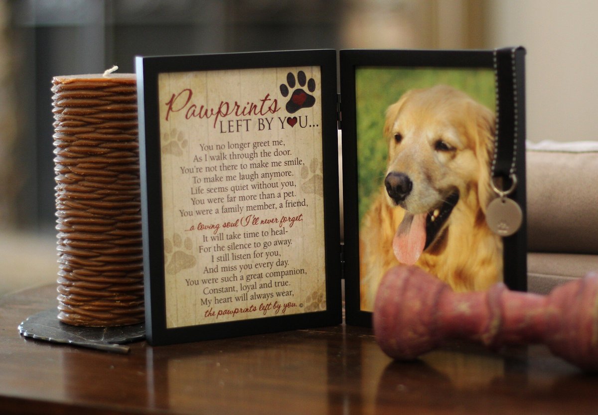 PAWPRINTS LEFT BY YOU Dog Picture Frame, 5 x 7 - Chewy.com