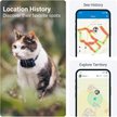 TRACTIVE Cat Mini GPS Tracker & Activity Monitor - Chewy.com