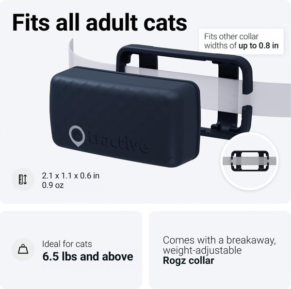 TRACTIVE Cat Mini GPS Tracker & Activity Monitor, Black - Chewy.com