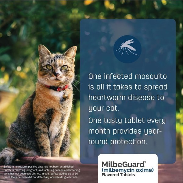 MILBEGUARD Flavored Tablets for Dogs, 2 -10 lbs. (Yellow Box), 2.3 mg, 6 tablets (6-mos. supply ...