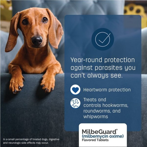 MILBEGUARD Flavored Tablets for Dogs, 51 - 100 lbs, and for Cats, 12.1 ...