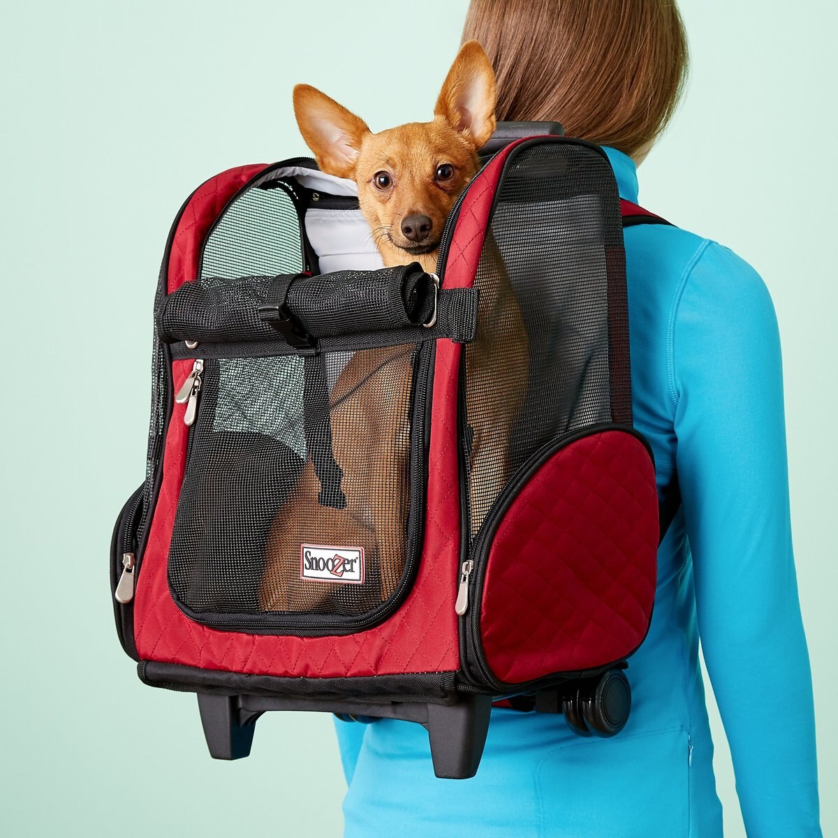 SNOOZER PET PRODUCTS Roll Around 4-in-1 Travel Dog & Cat Carrier ...