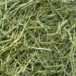 RABBIT HOLE HAY Ultra Premium, Hand Packed Coarse Timothy Hay Small ...
