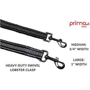 10 Best Dog Leashes 2025: According to Reviews | Chewy