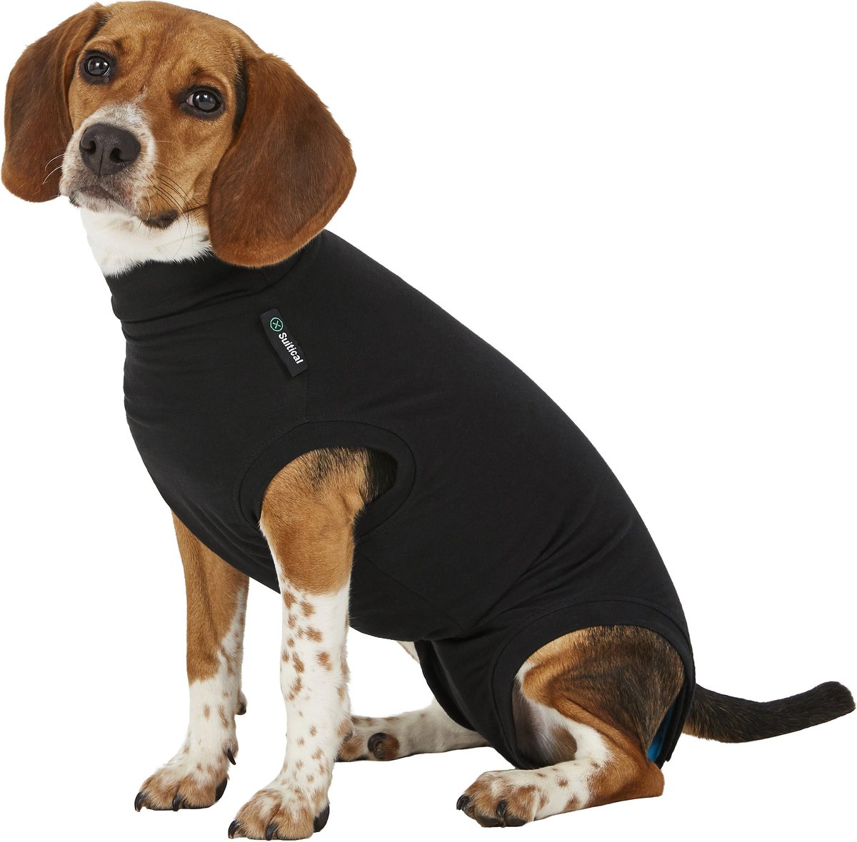 SUITICAL Recovery Suit for Dogs, Black, Small - Chewy.com