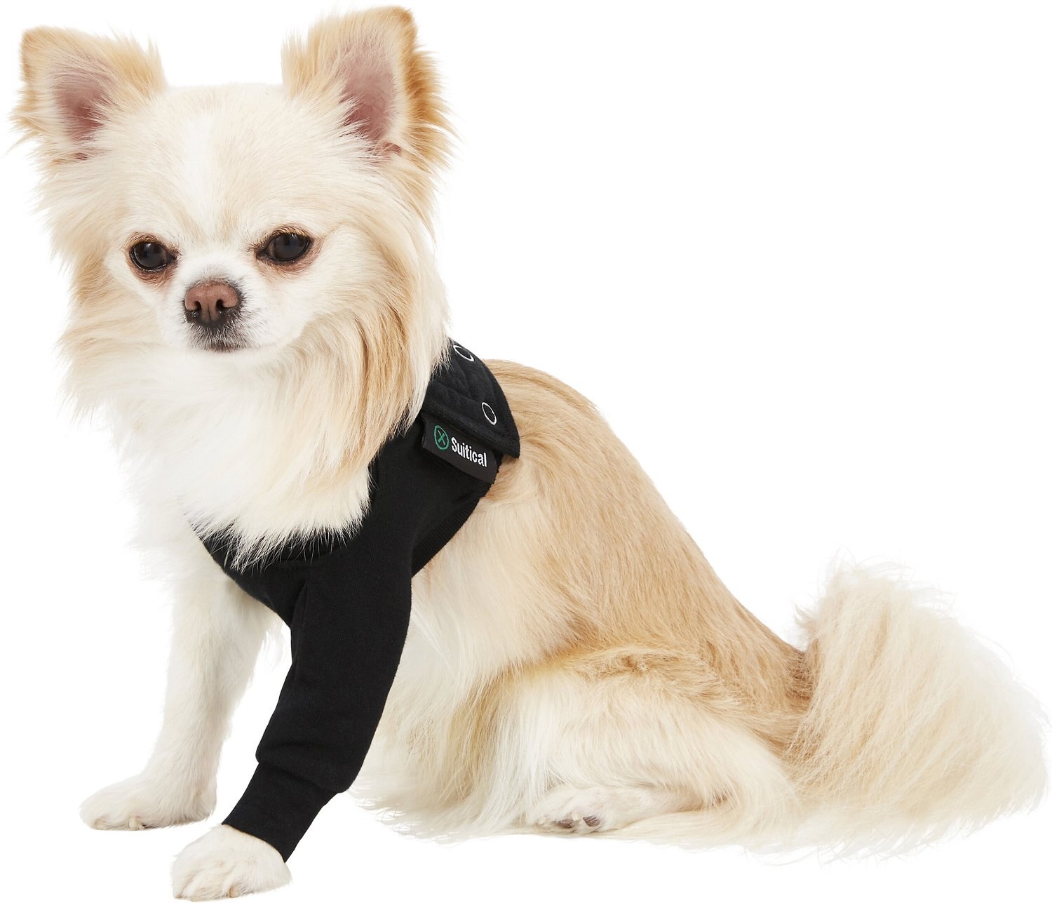 SUITICAL Recovery Sleeve for Dogs, Black, XX-Small - Chewy.com