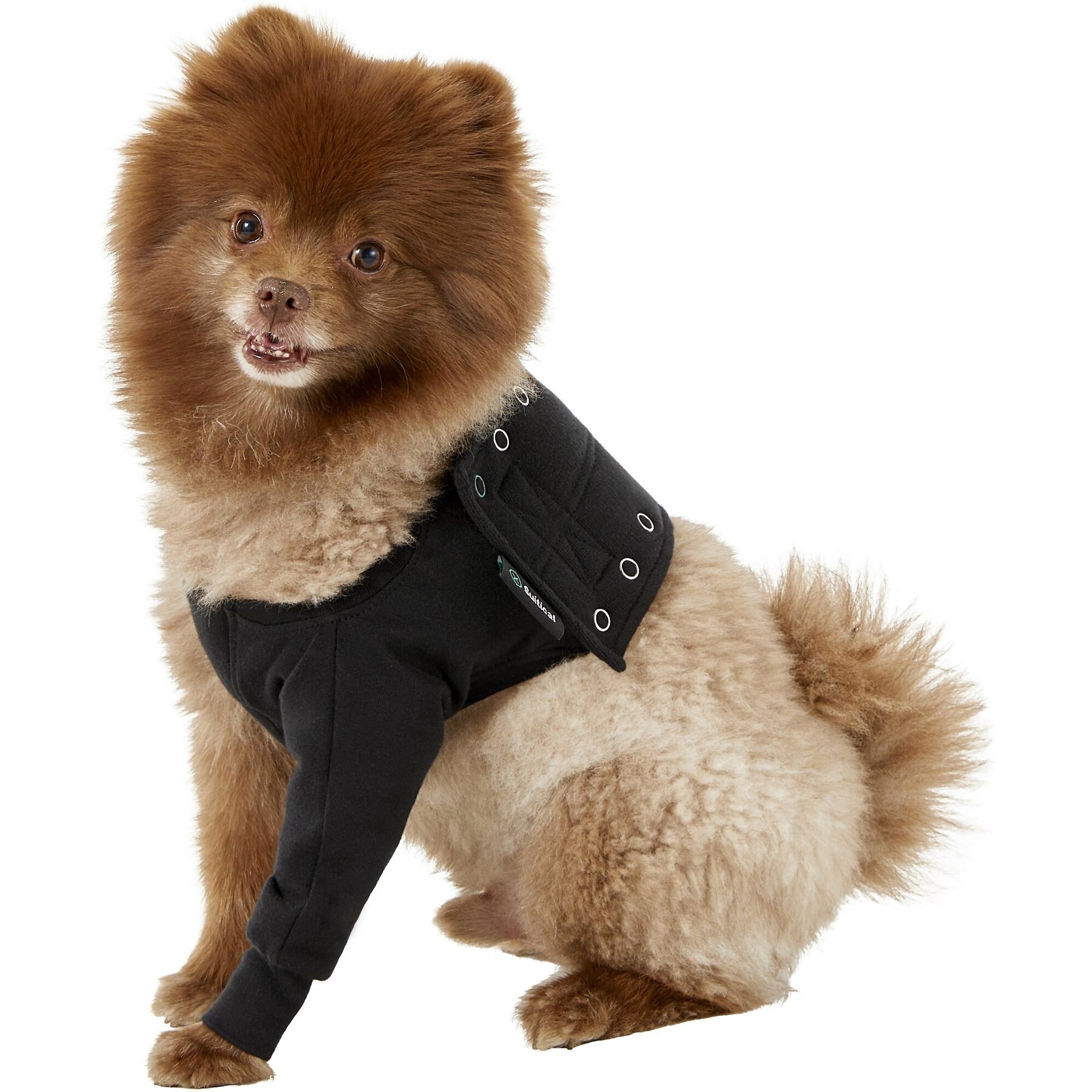 SUITICAL Recovery Sleeve for Dogs, Black, Small - Chewy.com