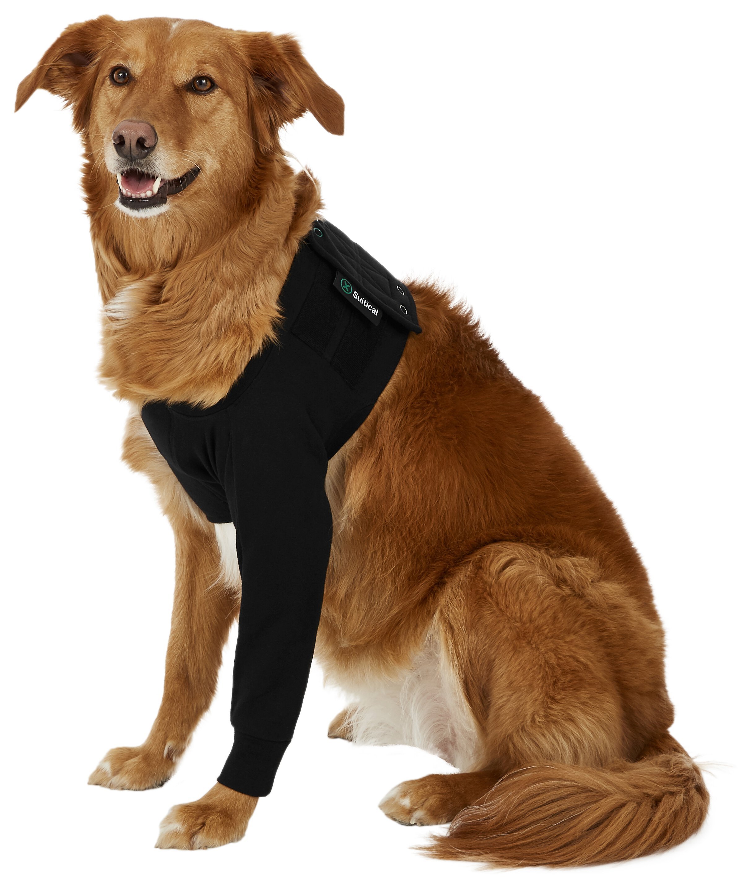 Questions and Answers about SUITICAL Recovery Sleeve for Dogs
