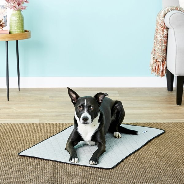 Discontinued - TECHNICHE INTERNATIONAL Evaporative Cooling Dog Pad ...