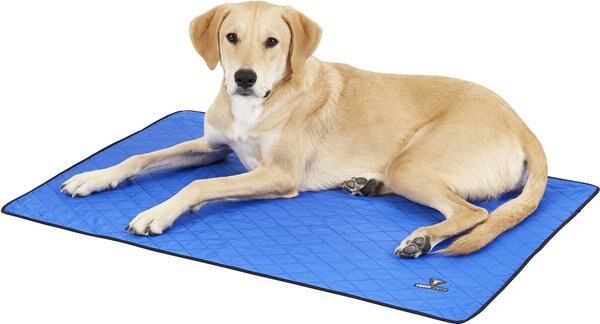 TECHNICHE INTERNATIONAL Evaporative Cooling Dog Pad, Royal Blue, X ...